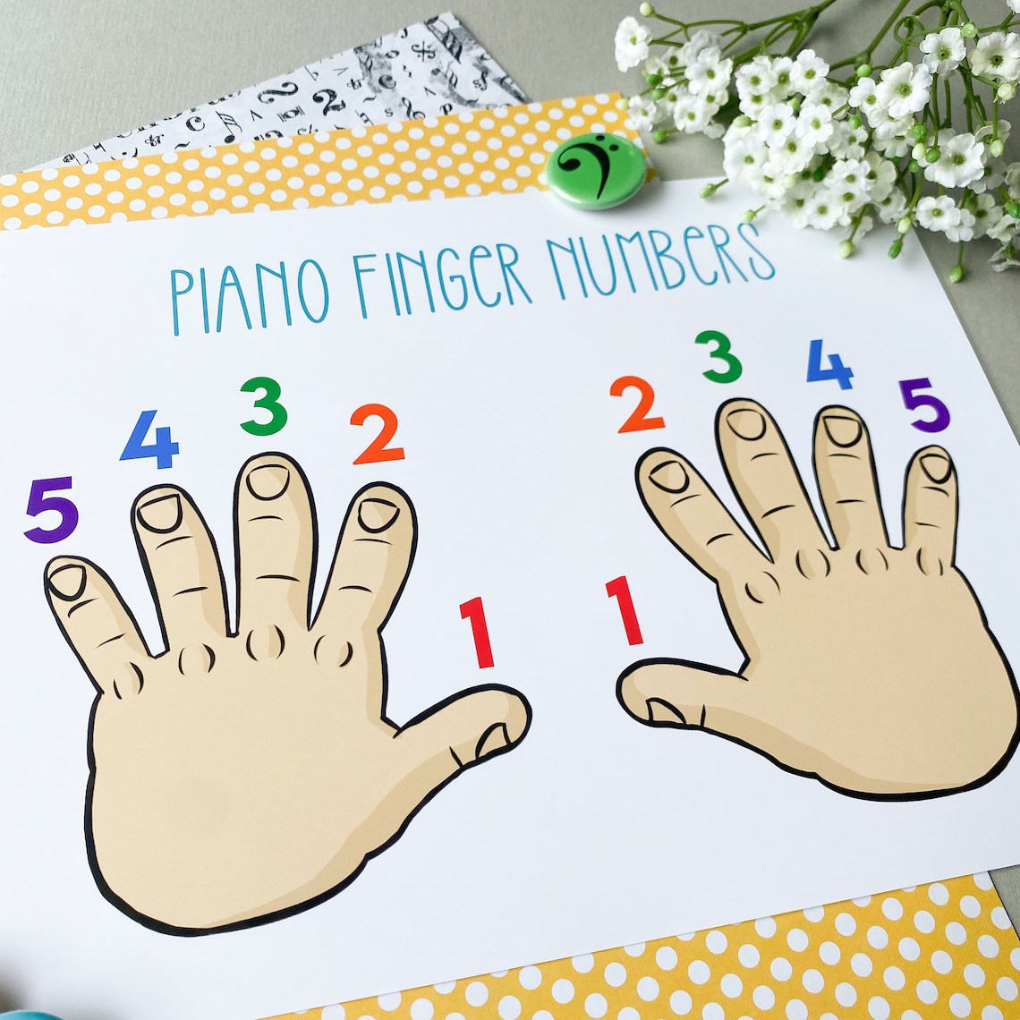 Piano Finger Numbers Poster//piano Teacher//music - Etsy