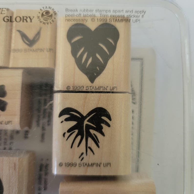 1999 Stampin' up Marvelous Morning Glory Rubber Stamps Flowers & Leaves ...