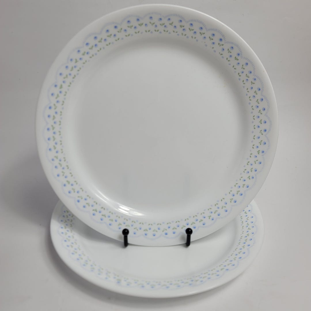 TWO Corelle Garden Row Dinner Plates Blue Flowers Green Leaves - Etsy