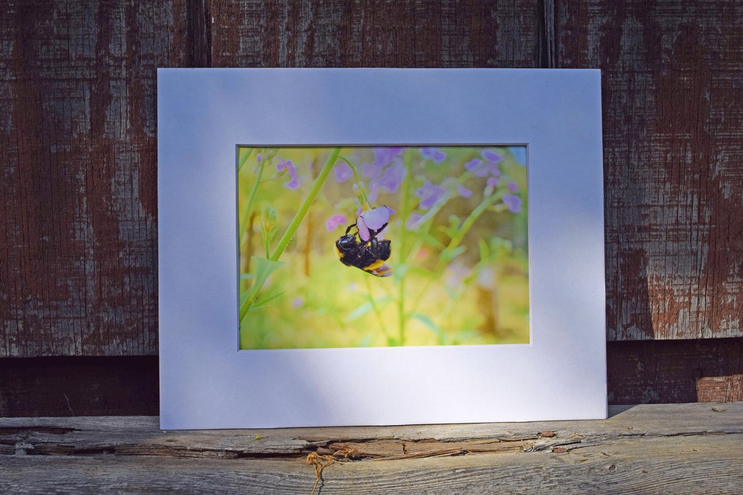Bee in the Wind Print - Etsy