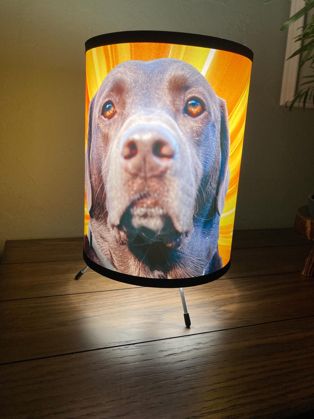 Lamp, Chocolate Lab Lover Gift, Dog Lamp, Pet Owner Home Decor ...