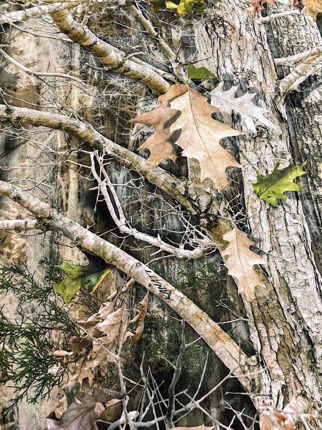 Realtree Camo Hd Wallpaper