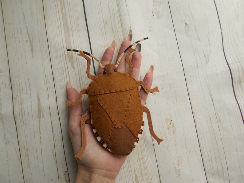 Felted Stinkbug Toy Realistic Beetle Felted Toy Young Naturalist Gift ...