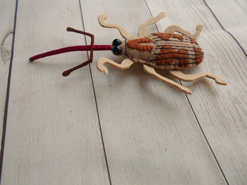 Felt Weevil Realistic Toy Felted Weevil Young Naturalist - Etsy