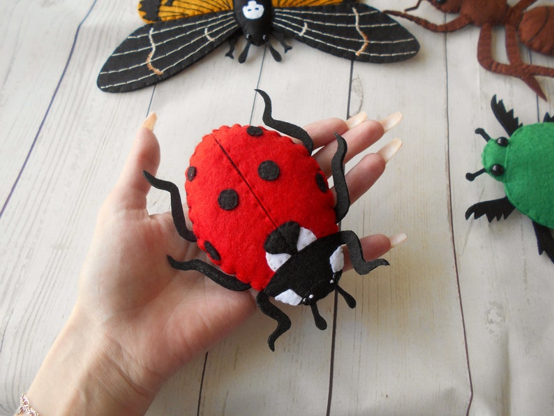 Bugs Collection From Felt, Realistic Beetle Toys, Learn Nature Felted ...