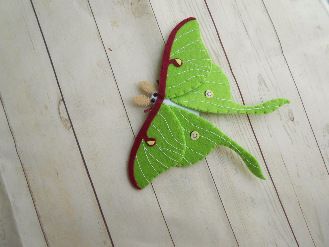 Realistic Felted Luna Moth Young Naturalist Gift Felt Moth - Etsy