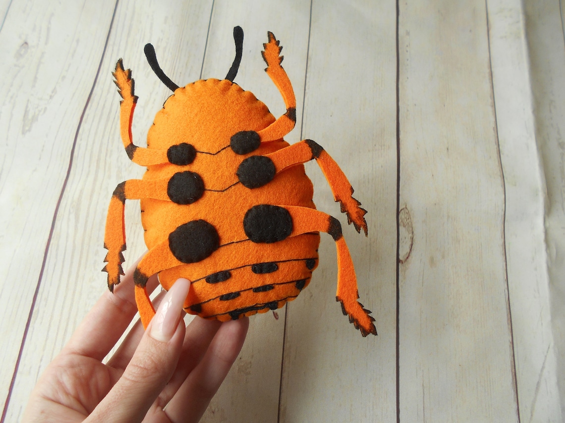 Realistic Colorado Potato Beetle From Felt Kids Learn Felted | Etsy