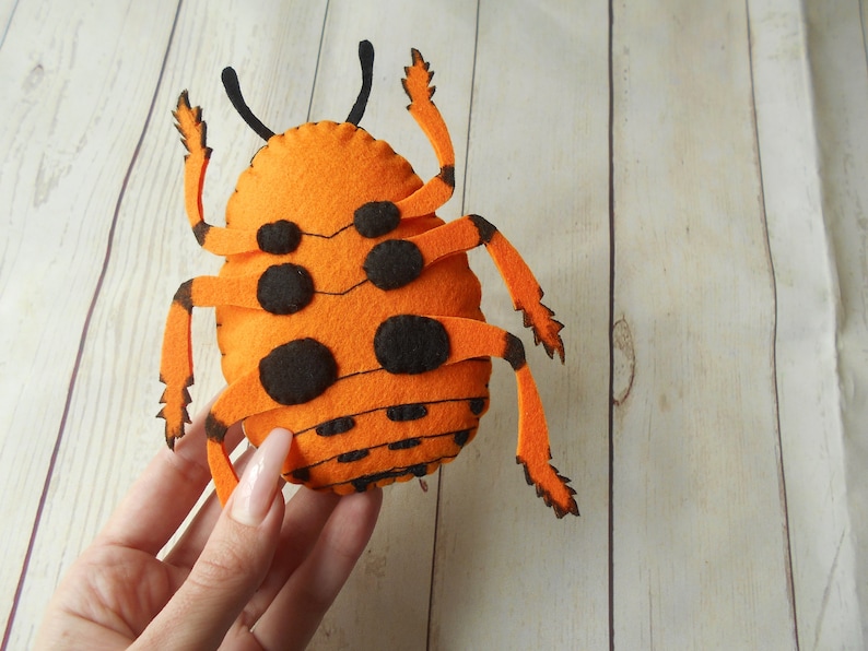 Realistic Colorado Potato Beetle From Felt Kids Learn Felted Bugs Felt ...