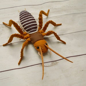 Realistic Jerusalem Cricket From Felt Cricket Figurine Felted Bugs ...