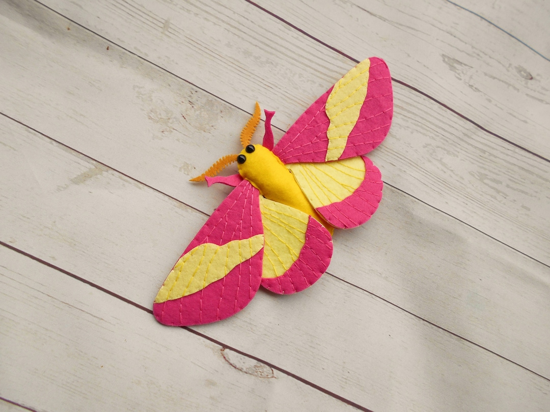 Realistic Rosy Maple Moth From Felt Dryocampa Rubicunda Felted Moth ...