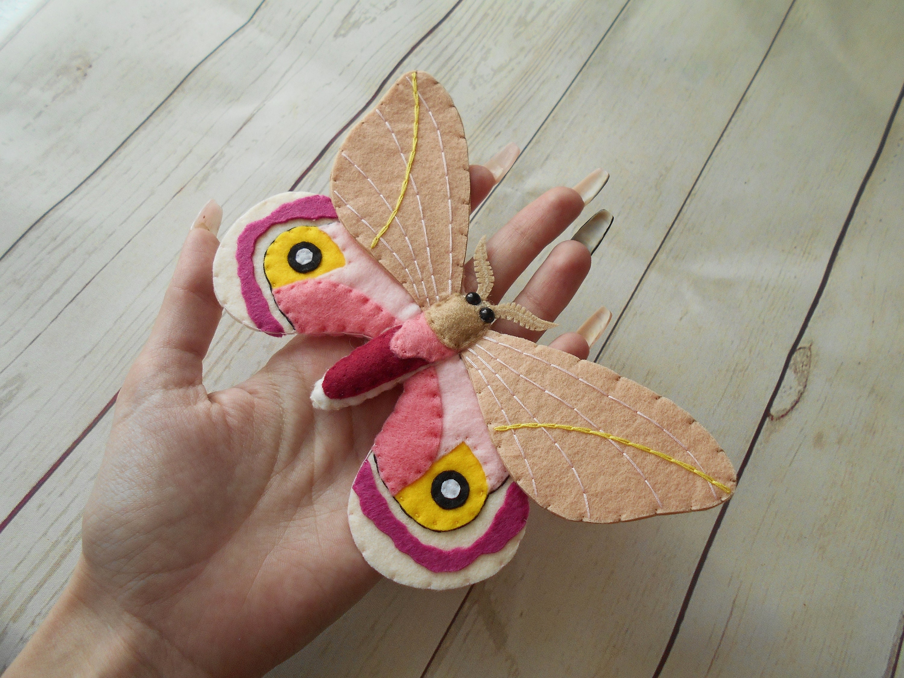 Realistic Automeris Pamina Saturn Moth From Felt Felted Moth - Etsy