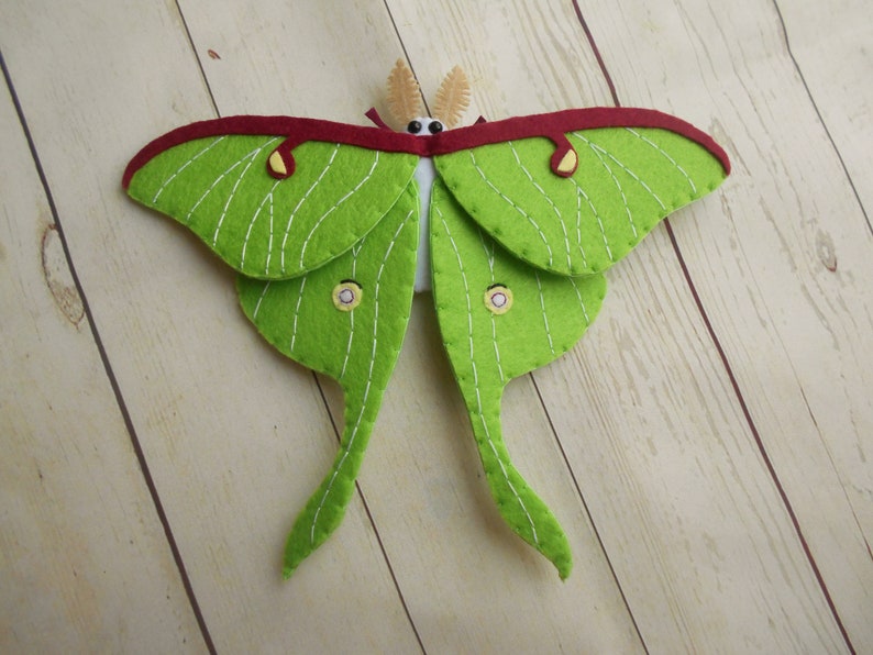 Realistic Felted Luna Moth Young Naturalist Gift Felt Moth - Etsy