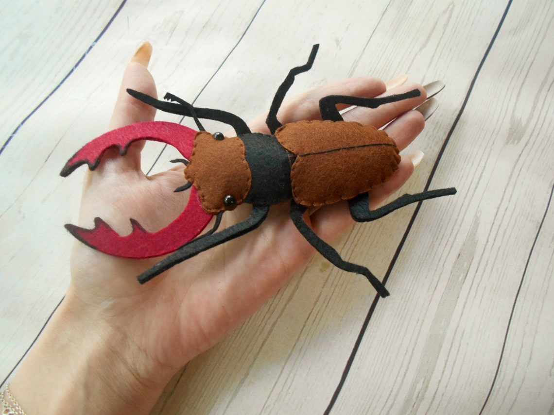 Realistic stag beetle toy Felted stag beetle figurine Learn | Etsy