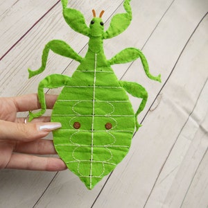 Felted Phylliidae - Leaf Bug Realistic Figure, Felt Phylliidae Figure ...