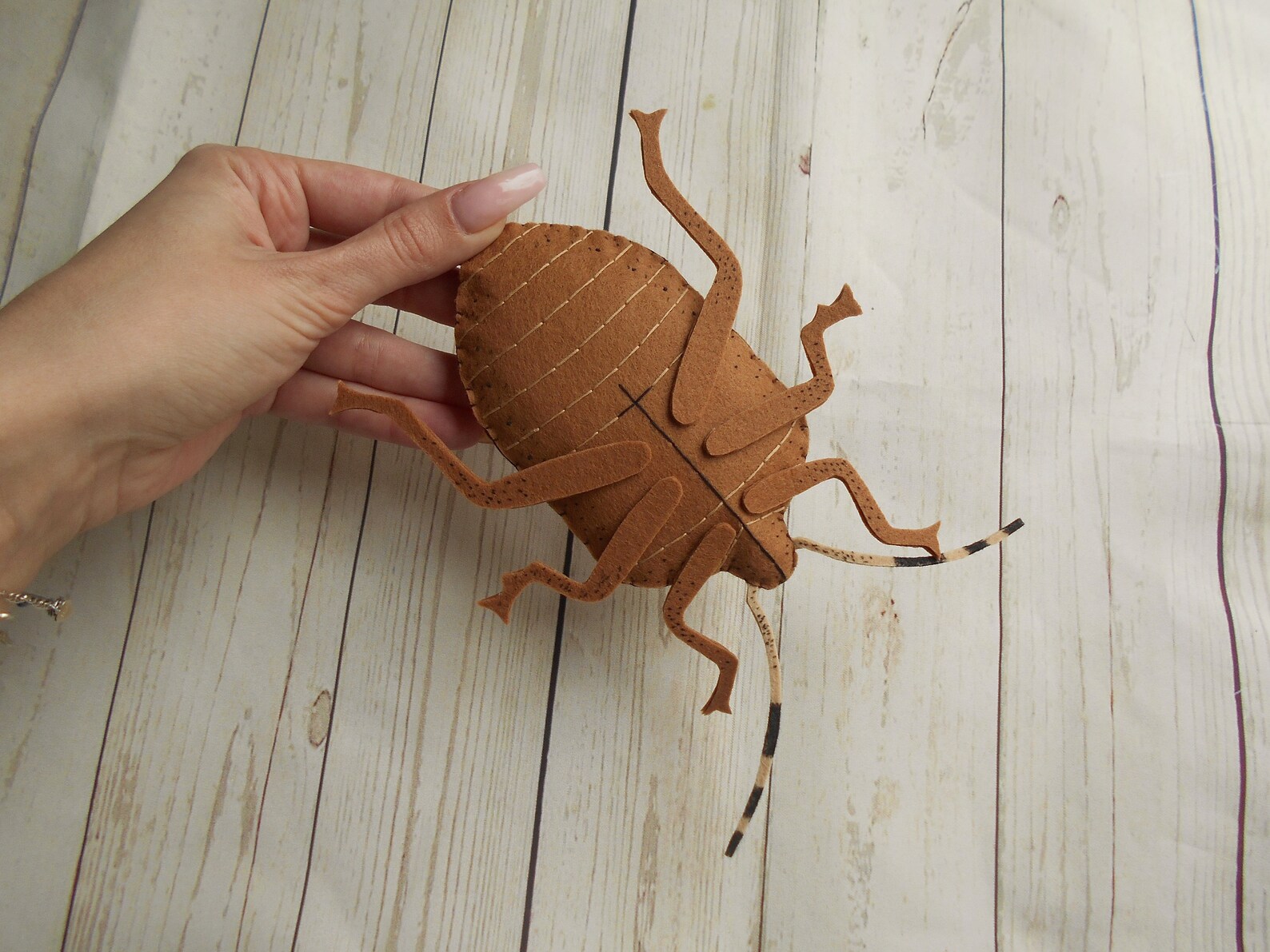 Felted Stinkbug Toy Realistic Beetle Felted Toy Young Naturalist Gift ...