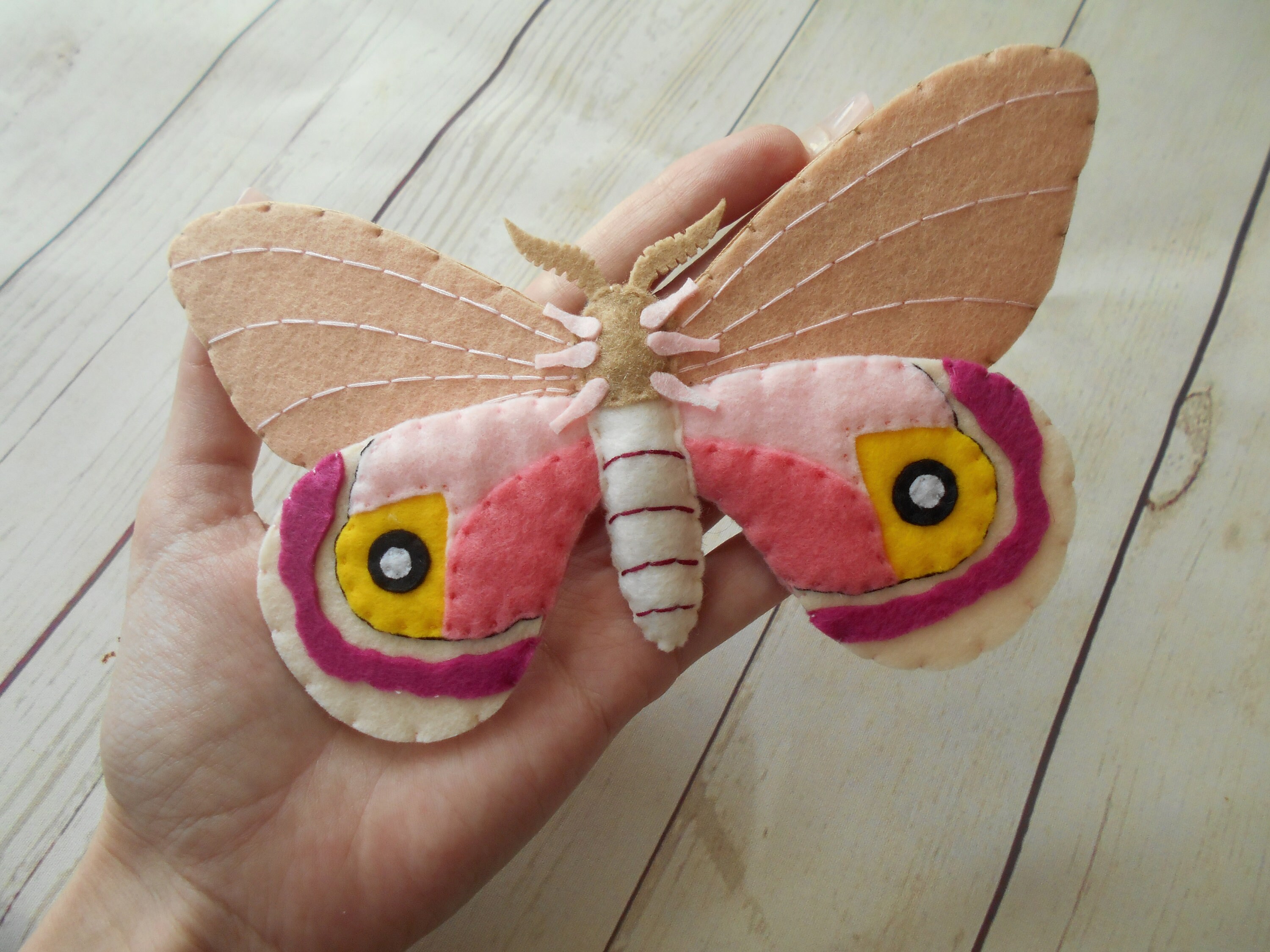 Realistic Automeris Pamina Saturn Moth From Felt Felted Moth - Etsy