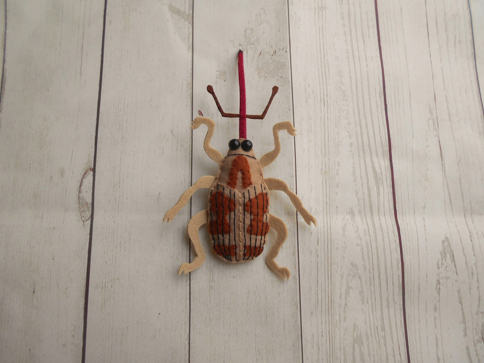 Felt Weevil Realistic Toy Felted Weevil Young Naturalist - Etsy