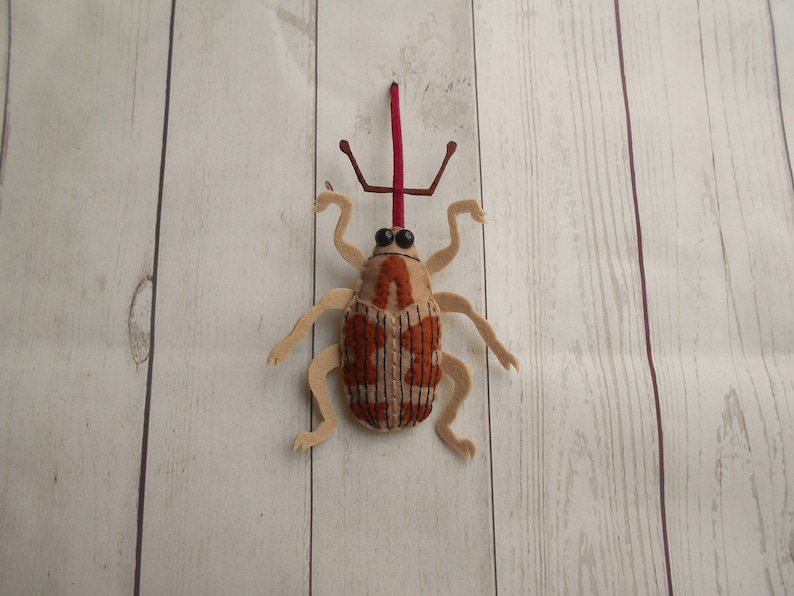 Felt Weevil Realistic Toy Felted Weevil - Young Naturalist Gift Figure ...