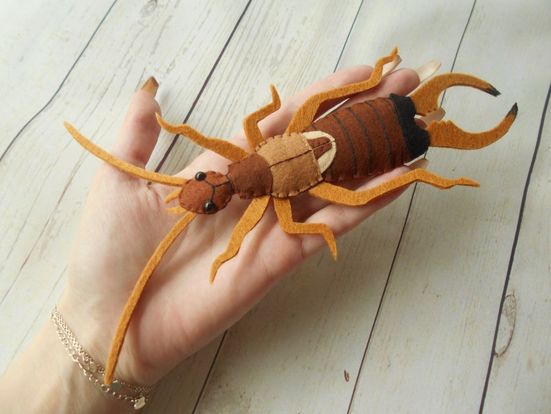 Felted Bug Toy Realistic Bugs Toys From Felt Realistic Earwig Felted ...