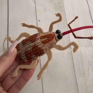 Felt Weevil Realistic Toy Felted Weevil - Young Naturalist Gift Figure ...