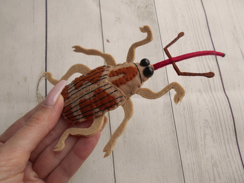 Felt Weevil Realistic Toy Felted Weevil Young Naturalist - Etsy