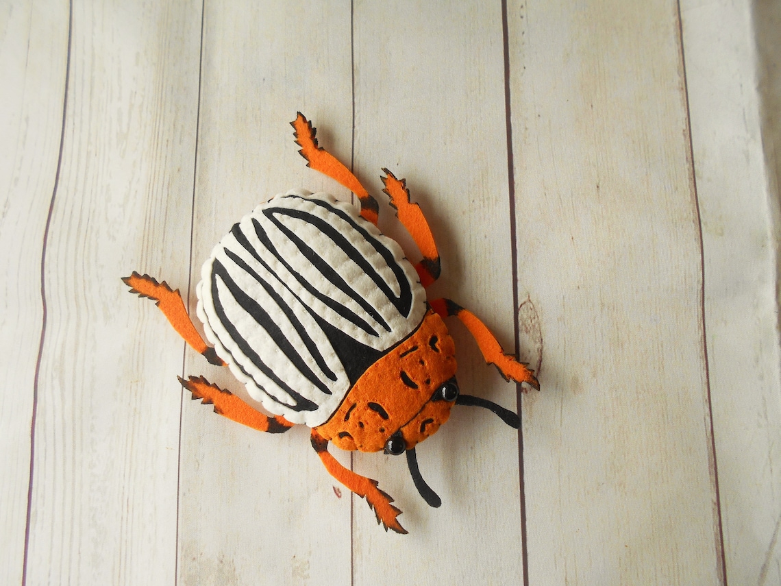 Realistic Colorado Potato Beetle From Felt Kids Learn Felted | Etsy