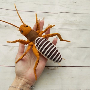 Realistic Jerusalem Cricket From Felt Cricket Figurine Felted Bugs ...