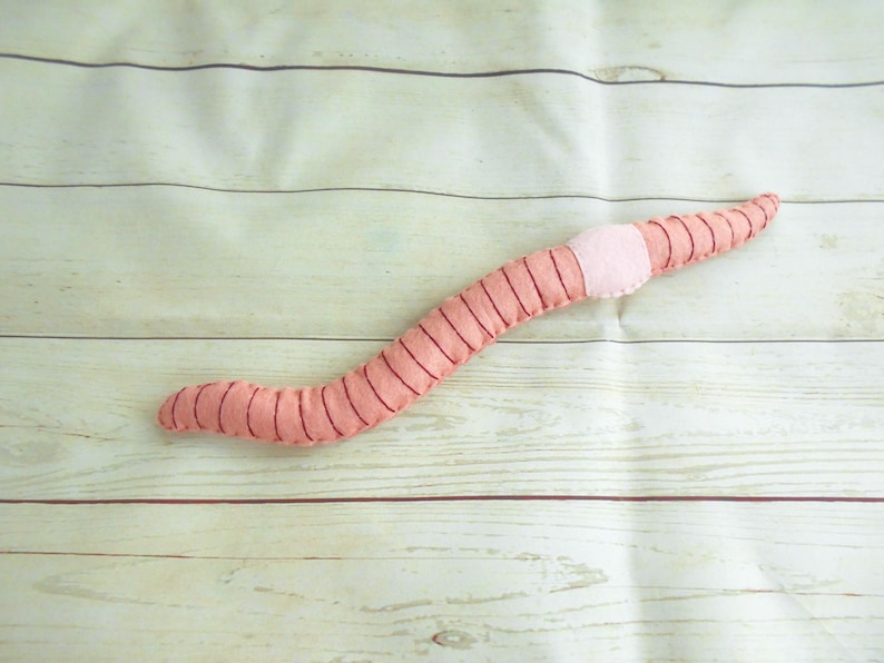Realistic Earthworm Figure From Felt Soft Worm Realistic Figurine Felt ...