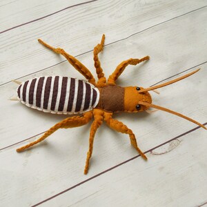 Realistic Jerusalem Cricket From Felt Cricket Figurine Felted Bugs ...