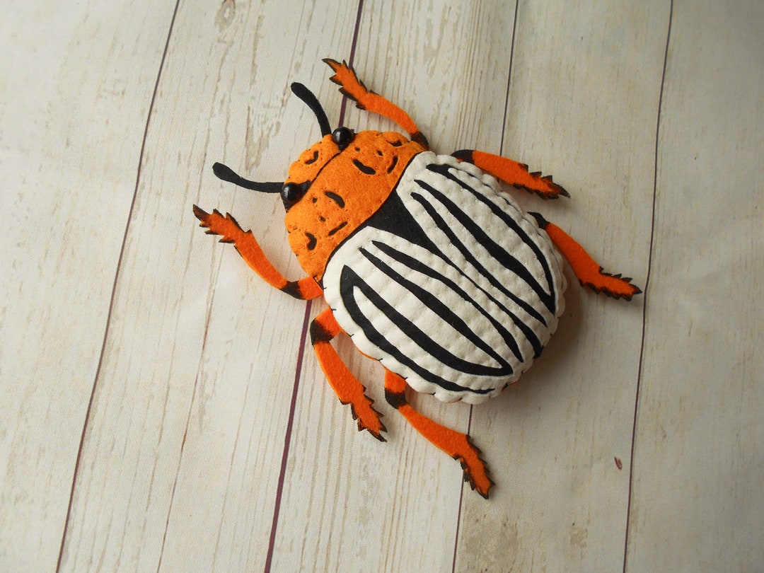 Realistic Colorado Potato Beetle From Felt Kids Learn Felted Bugs Felt ...