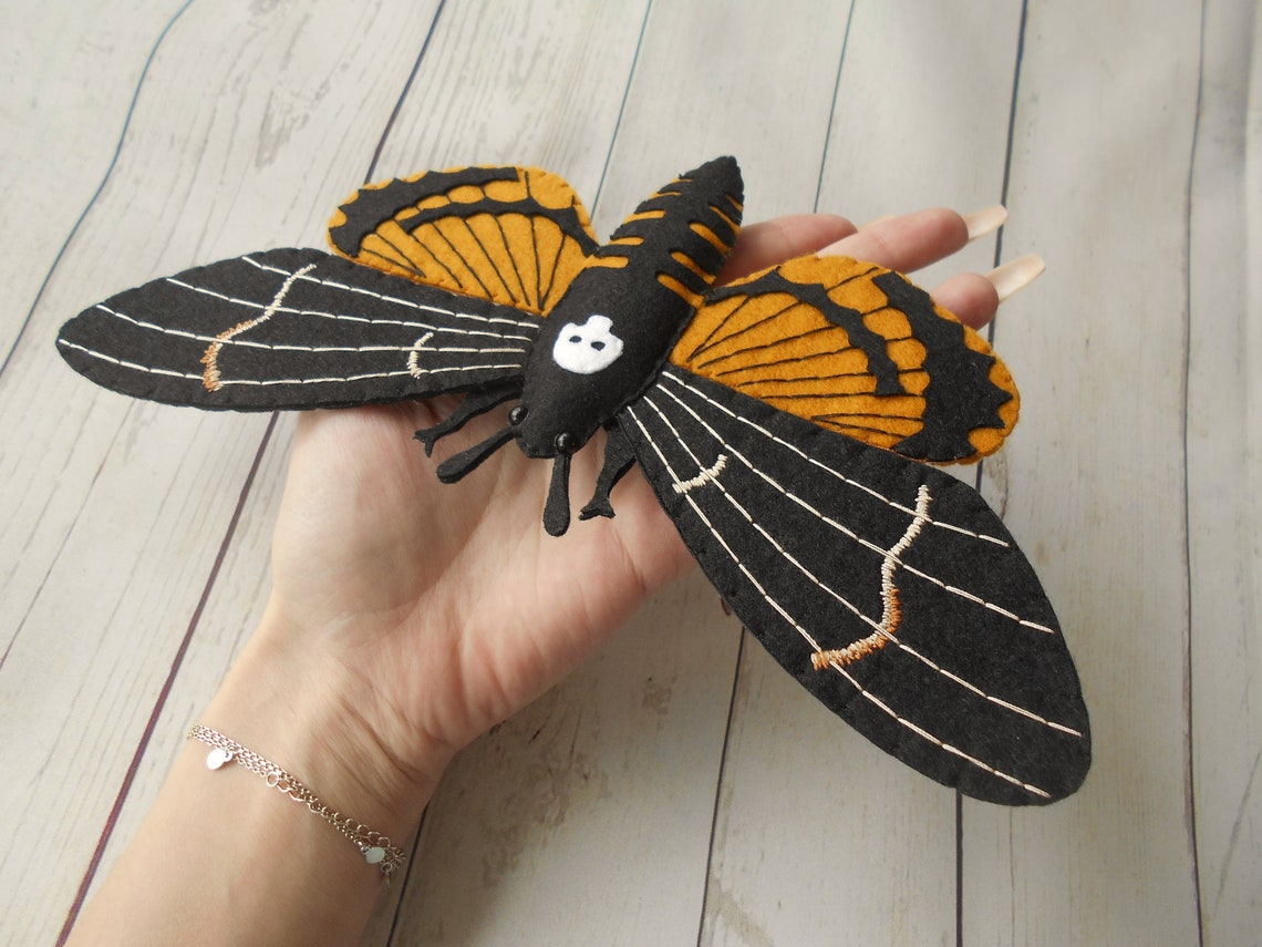 Realistic death head moth felted toy Young naturalist gift | Etsy