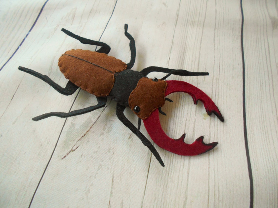 Realistic stag beetle toy Felted stag beetle figurine Learn | Etsy