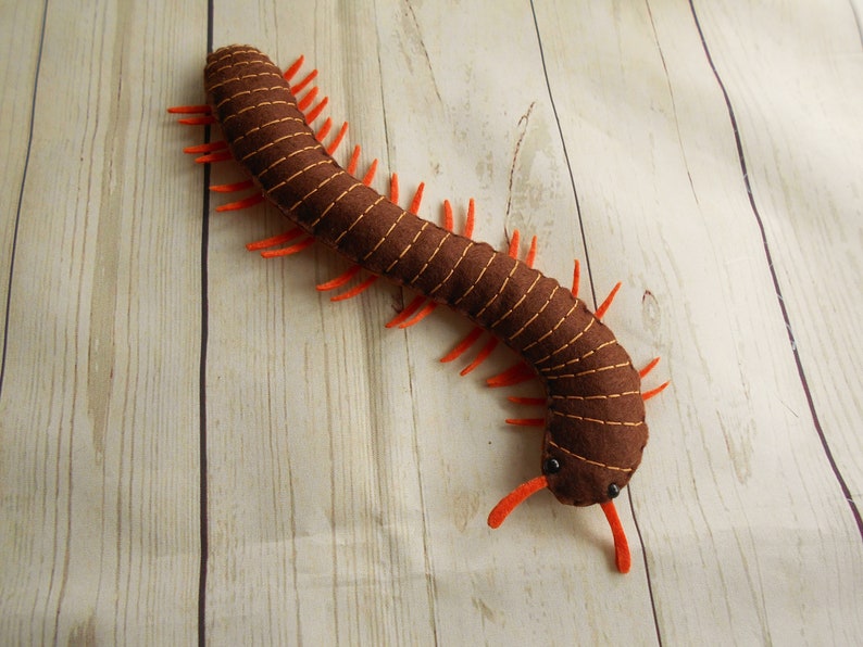 Realistic Millipede From Felt for Young Naturalist Felted Millipede ...