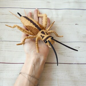 Realistic Hawaiian Cricket From Felt Laupala Cricket Figurine Felted ...