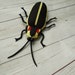 Realistic Firefly From Felt Figure Firefly Felted Fire Beetle for Young ...