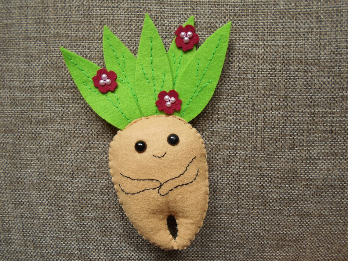 PDF sewing pattern for women PDF felt pattern for women Cool | Etsy