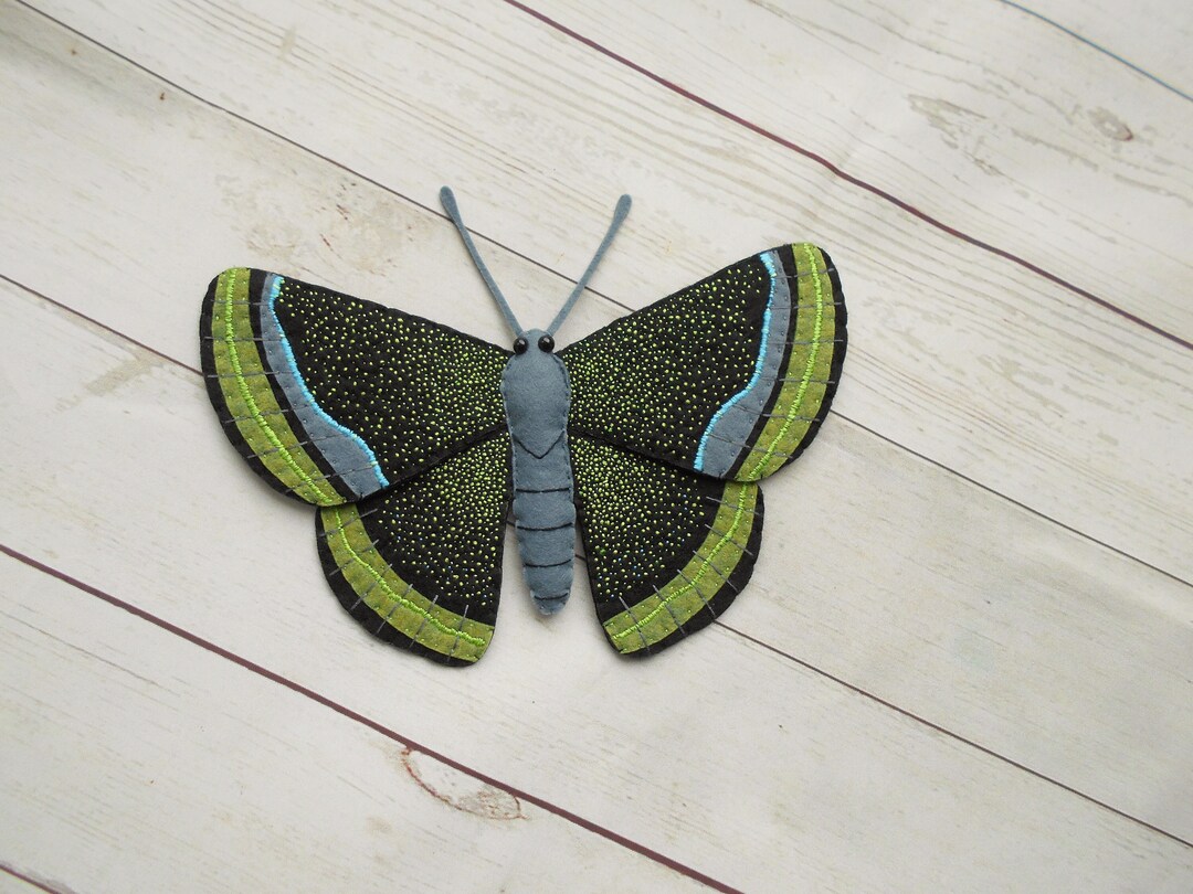 Realistic Caria Chrysame Psittacus Moth From Felt Felted Butterfly Moth ...