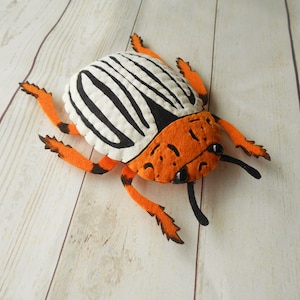 Realistic Colorado Potato Beetle From Felt Kids Learn Felted Bugs Felt ...