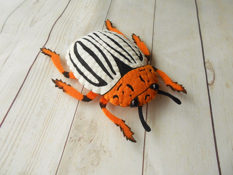 Realistic Colorado Potato Beetle From Felt Kids Learn Felted Bugs Felt ...