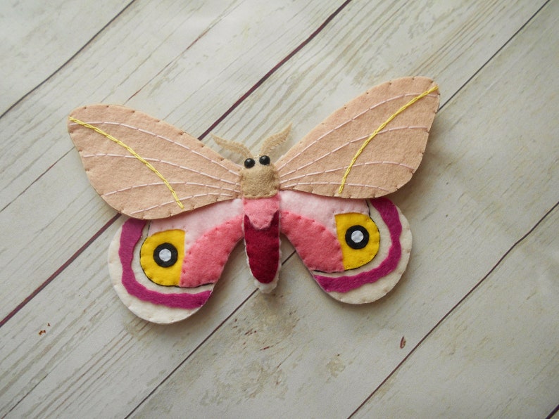 Realistic Automeris Pamina Saturn Moth From Felt Felted Moth - Etsy