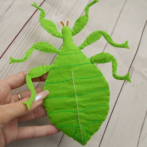 Felted Phylliidae - Leaf Bug Realistic Figure, Felt Phylliidae Figure ...