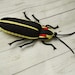 Realistic Firefly From Felt Figure Firefly Felted Fire Beetle for Young ...
