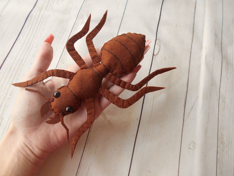 Felt Ant Felted Ant Learn Bugs Felt Bug Felt Insects Felted Insects ...