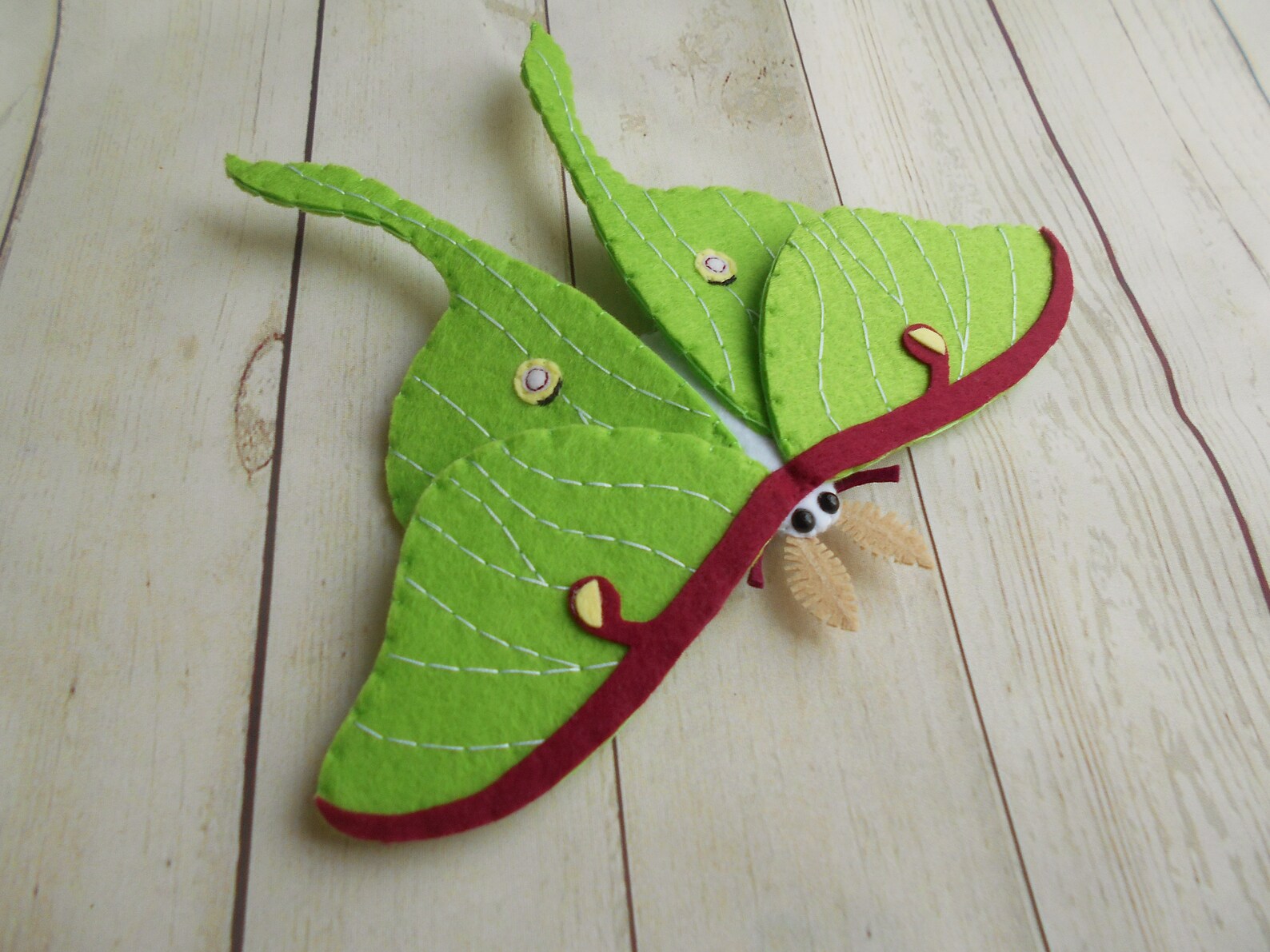Realistic Felted Luna Moth Young Naturalist Gift Felt Moth - Etsy