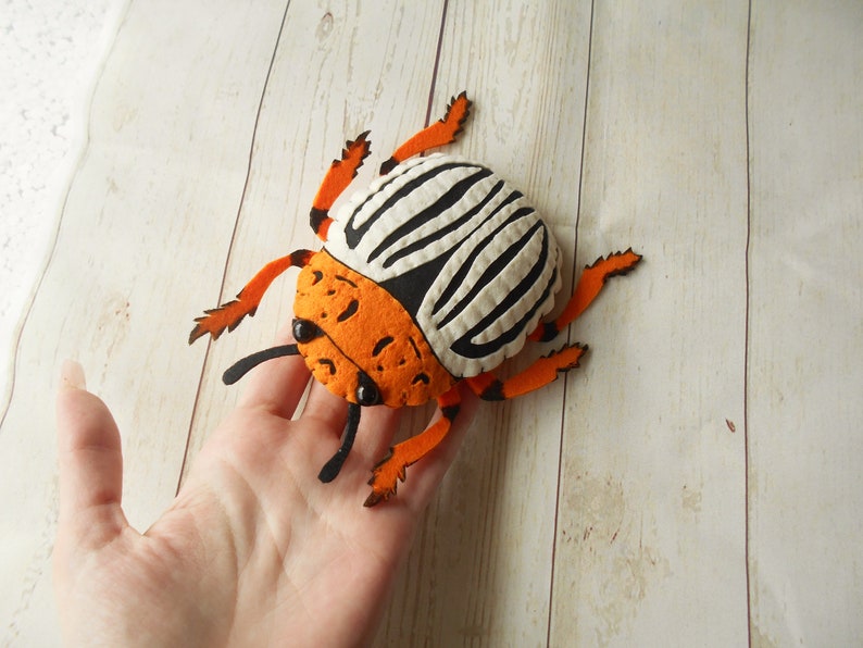 Realistic Colorado Potato Beetle From Felt Kids Learn Felted Bugs Felt ...