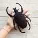 Realistic Red Goliath Beetle Felted Red Beetle Goliath Figurine Young ...