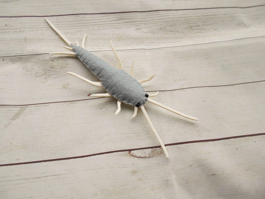 Realistic Silverfish Figure From Felt Felted Silverfish Felt Insects ...