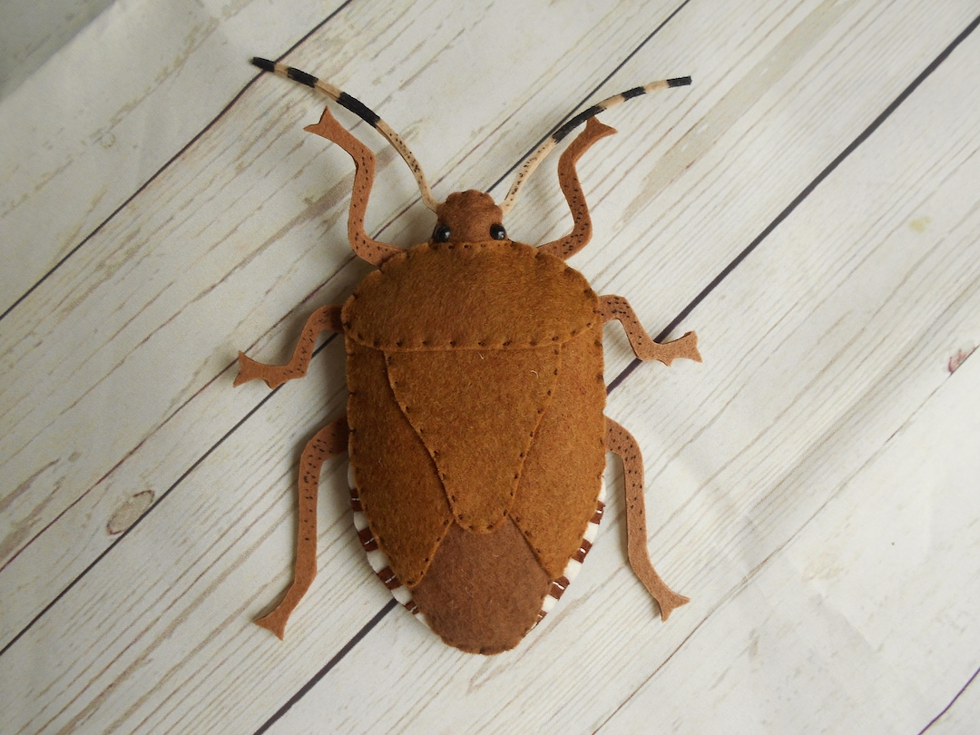 Felted Stinkbug Toy Realistic Beetle Felted Toy Young Naturalist Gift ...