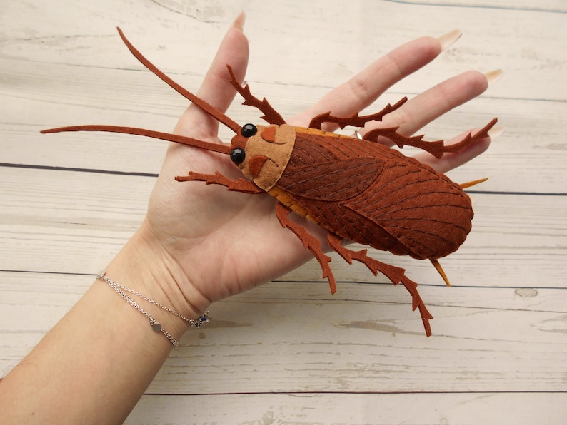 Cockroach Realistic Figure Felted American Cockroach Insect Figure Felt ...