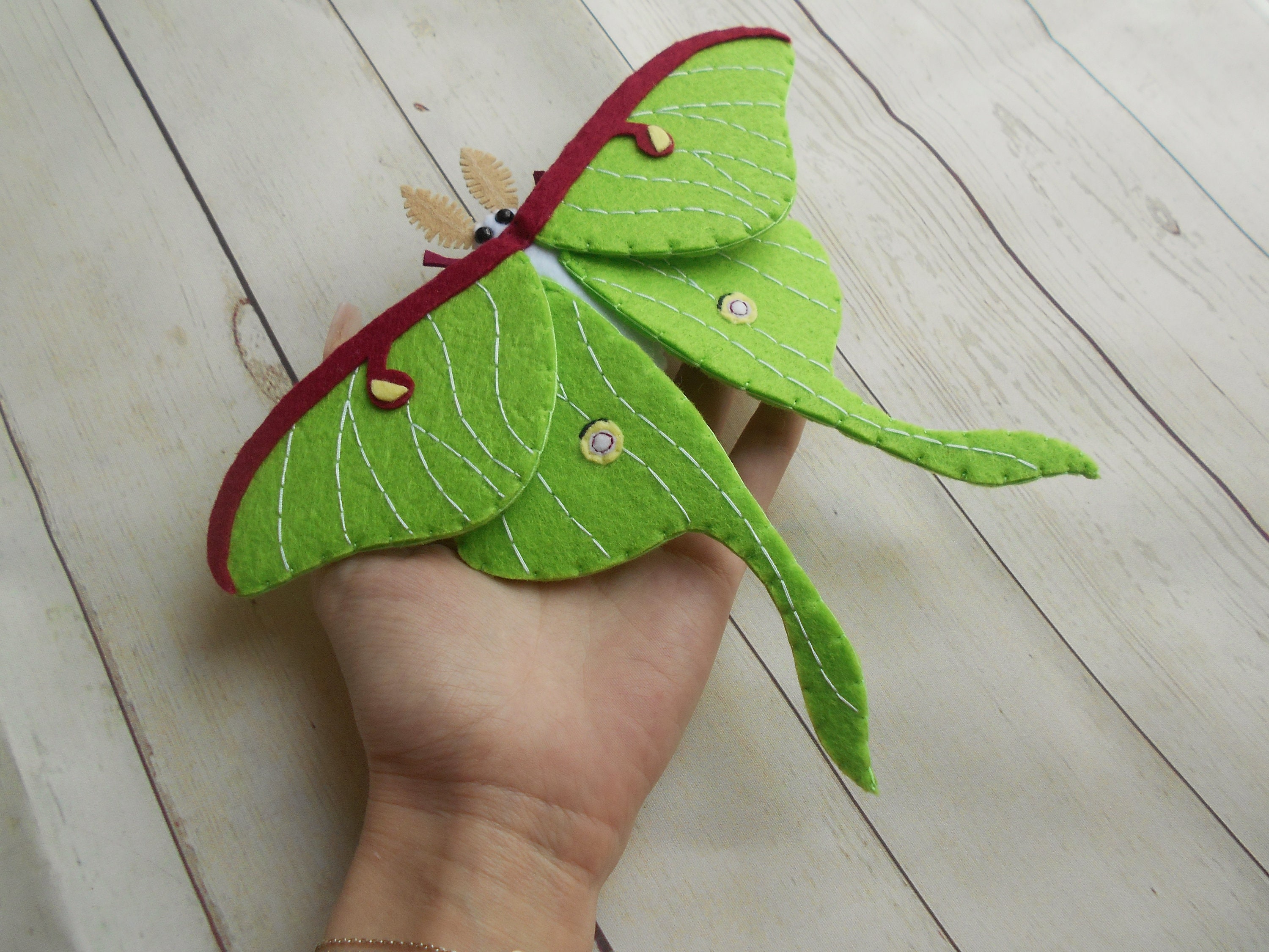 Realistic Felted Luna Moth Young Naturalist Gift Felt Moth Figure of ...